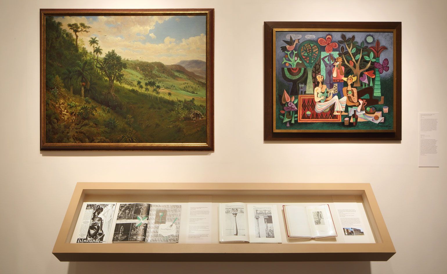 Ode to the humble houseplant at The Wolfsonian museum in Miami | Wallpaper