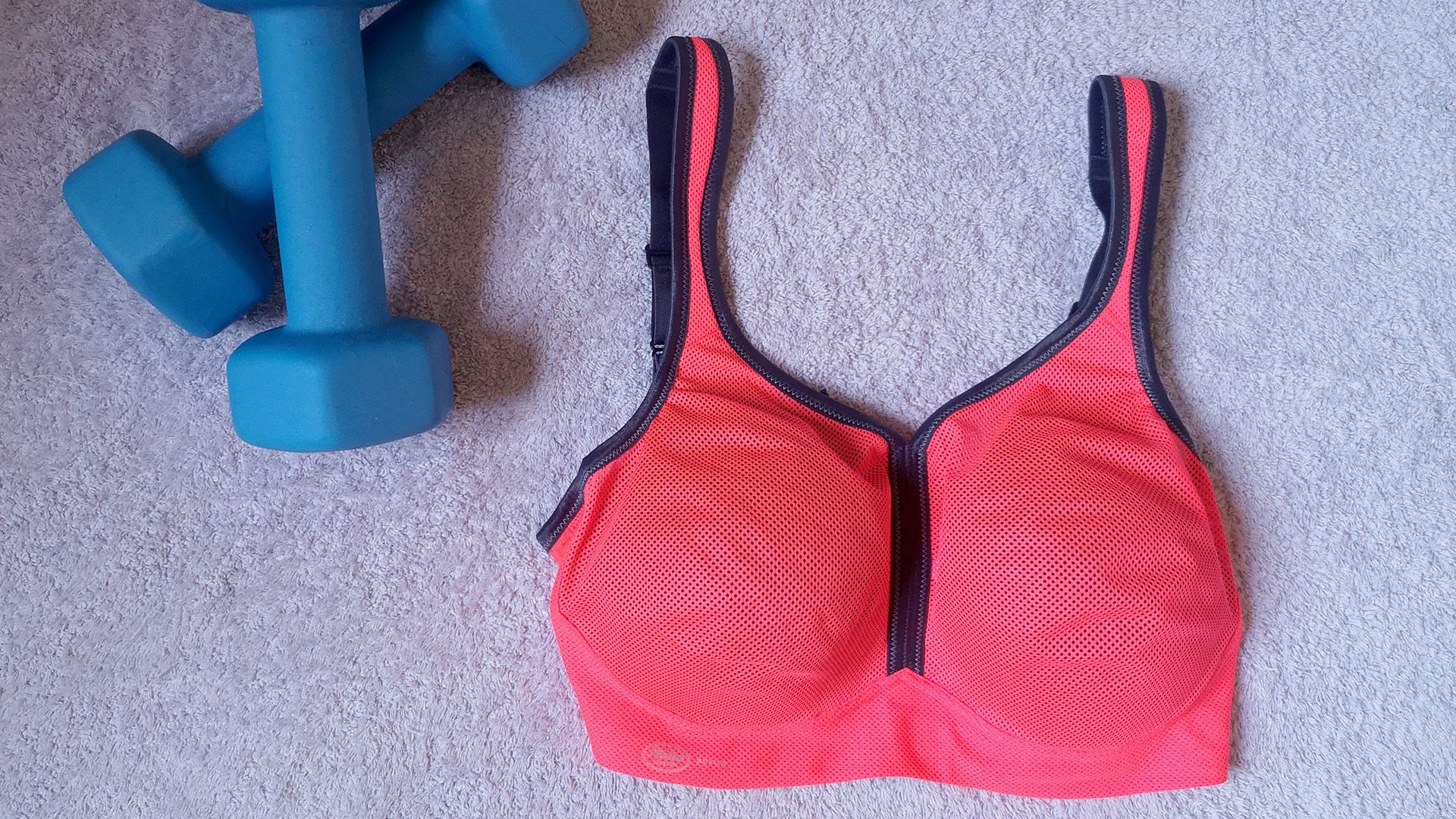 Best sports bra 2020: for runners, the gym and all other exercise ...