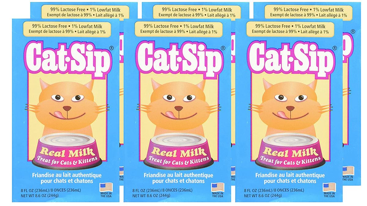 Best kitten toys: The top playthings for your new cat | PetsRadar