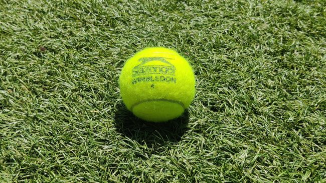 The Best Tennis Balls For Different Surfaces, Value For Money And ...