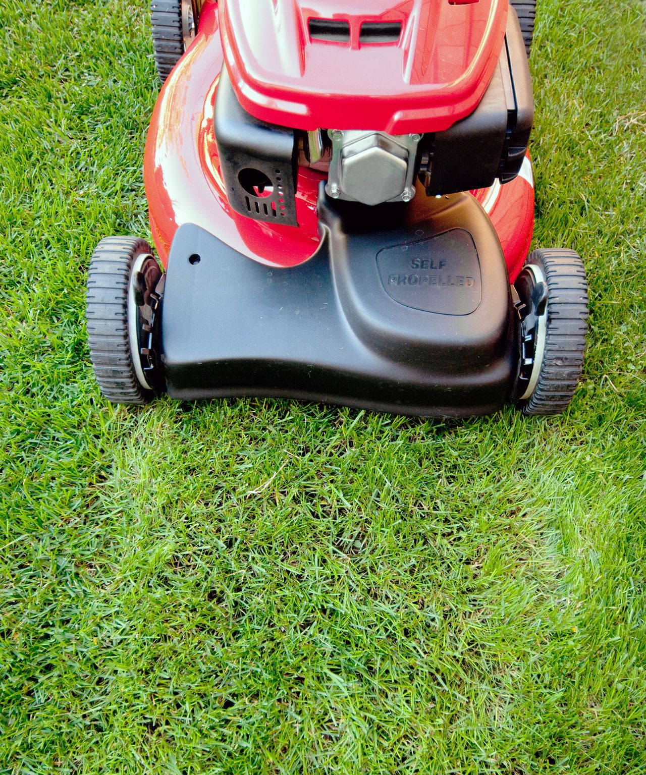 When can you mow the lawn after overseeding? Experts advise | Homes and ...