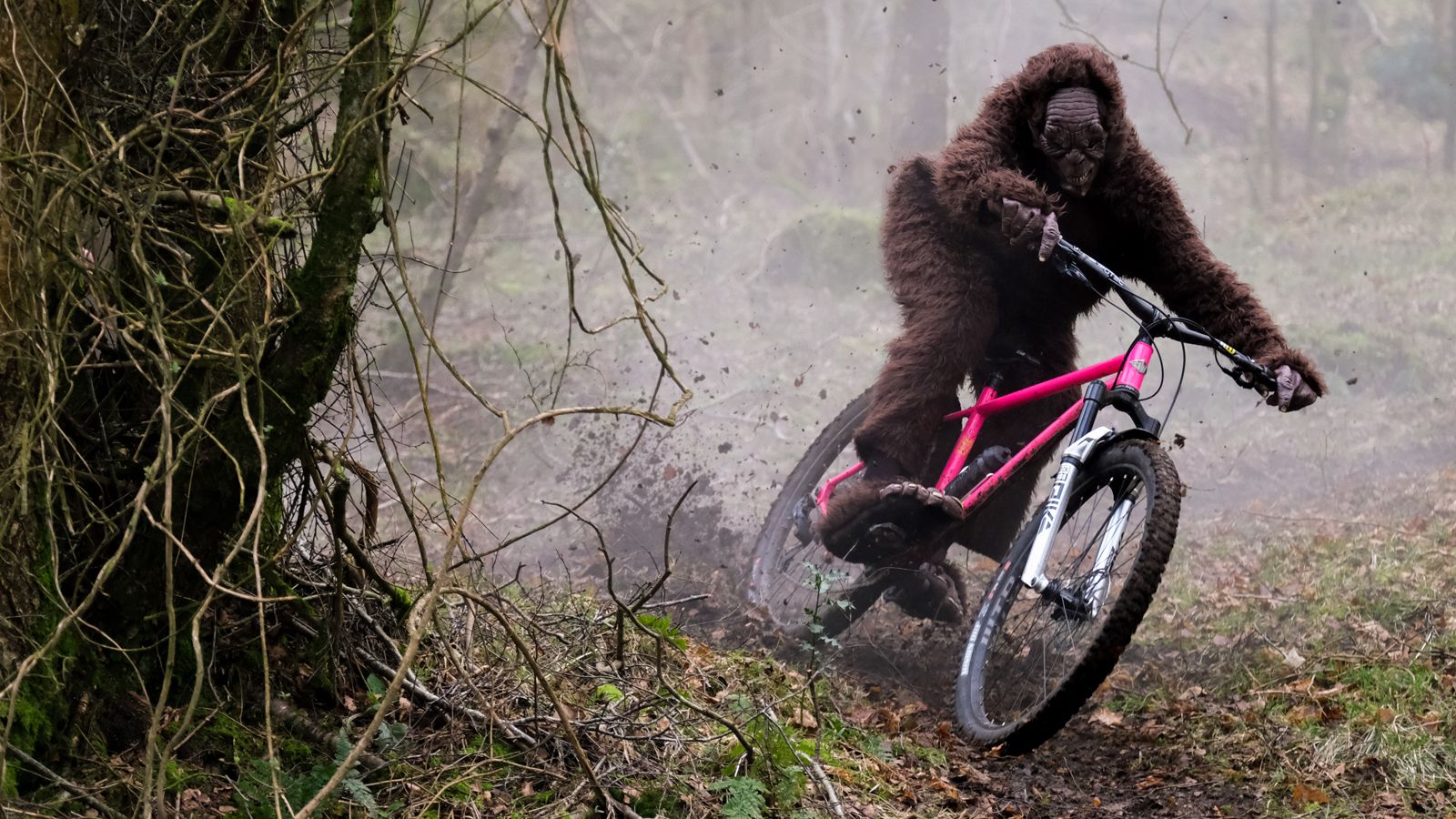 Stif updates its Squatch hardtail with bespoke UDH dropouts and some ...