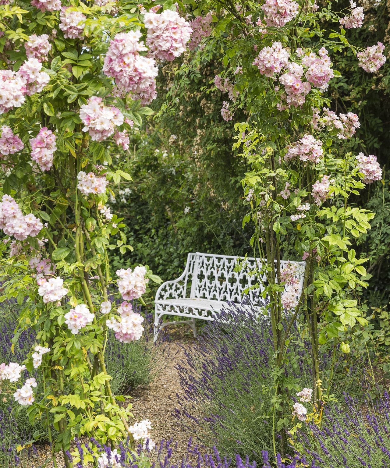 Landscaping with roses: 9 expert ways to use them | Gardeningetc