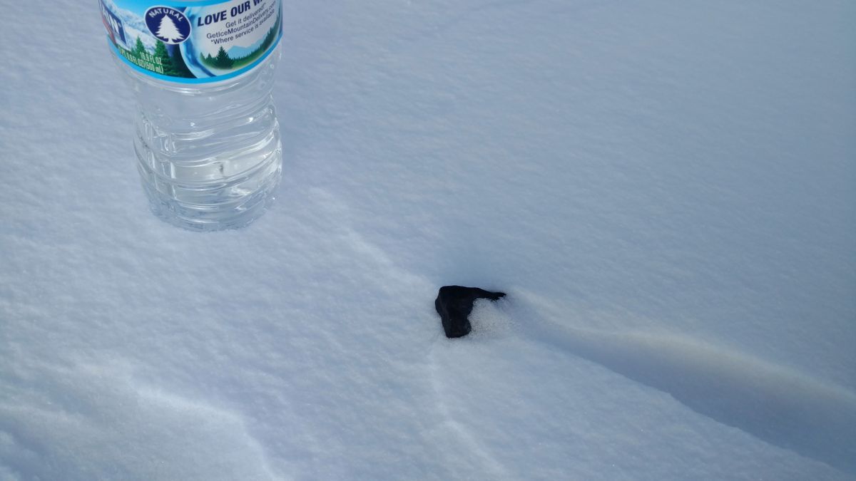 Fireball Finds! Meteorite Fragments from Dazzling Michigan Meteor Found ...