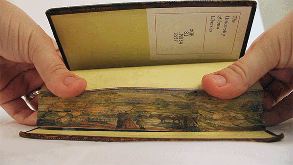 Secret paintings discovered on the edge of books | Creative Bloq