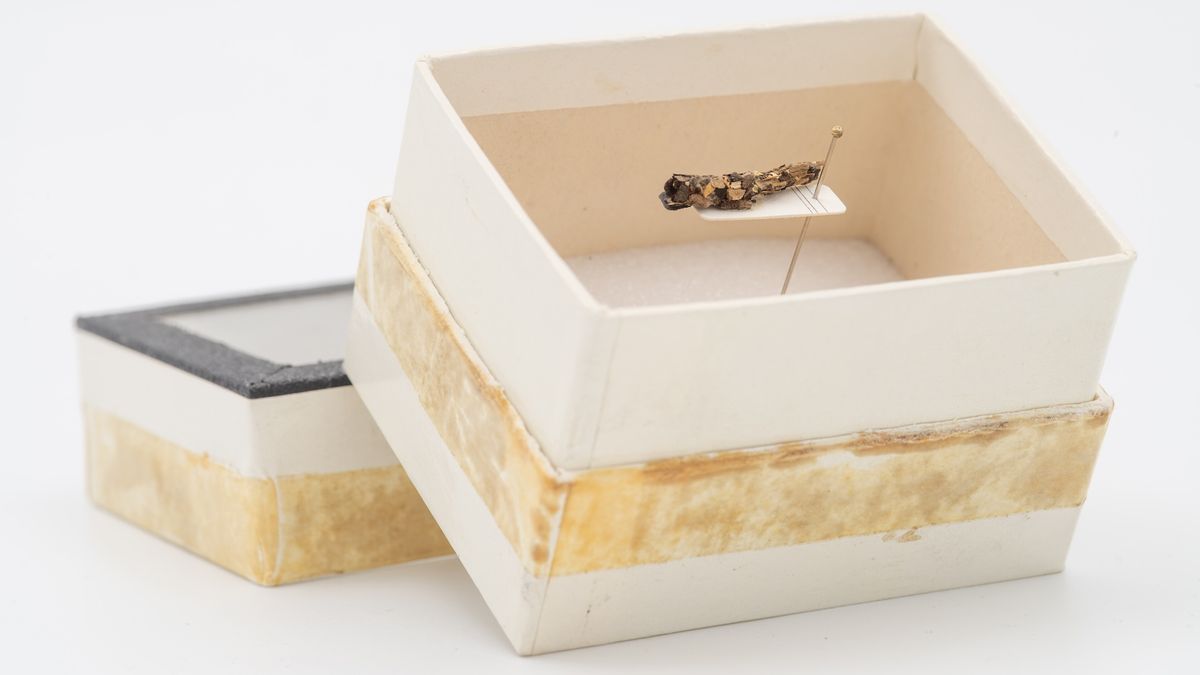 Microplastics have been in 'pristine streams' for half a century — what ...