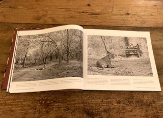 Andy Rouse photography book will delight tiger lovers | Digital Camera ...