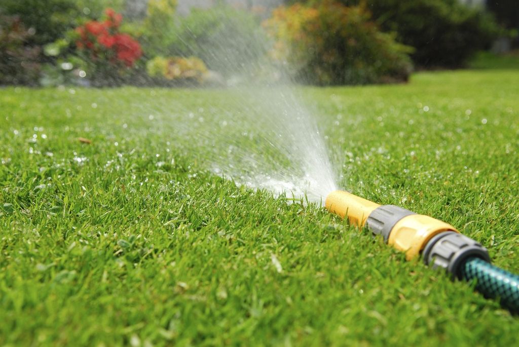 Watering Lawn Care Tips - Learn When And How To Water A Lawn ...