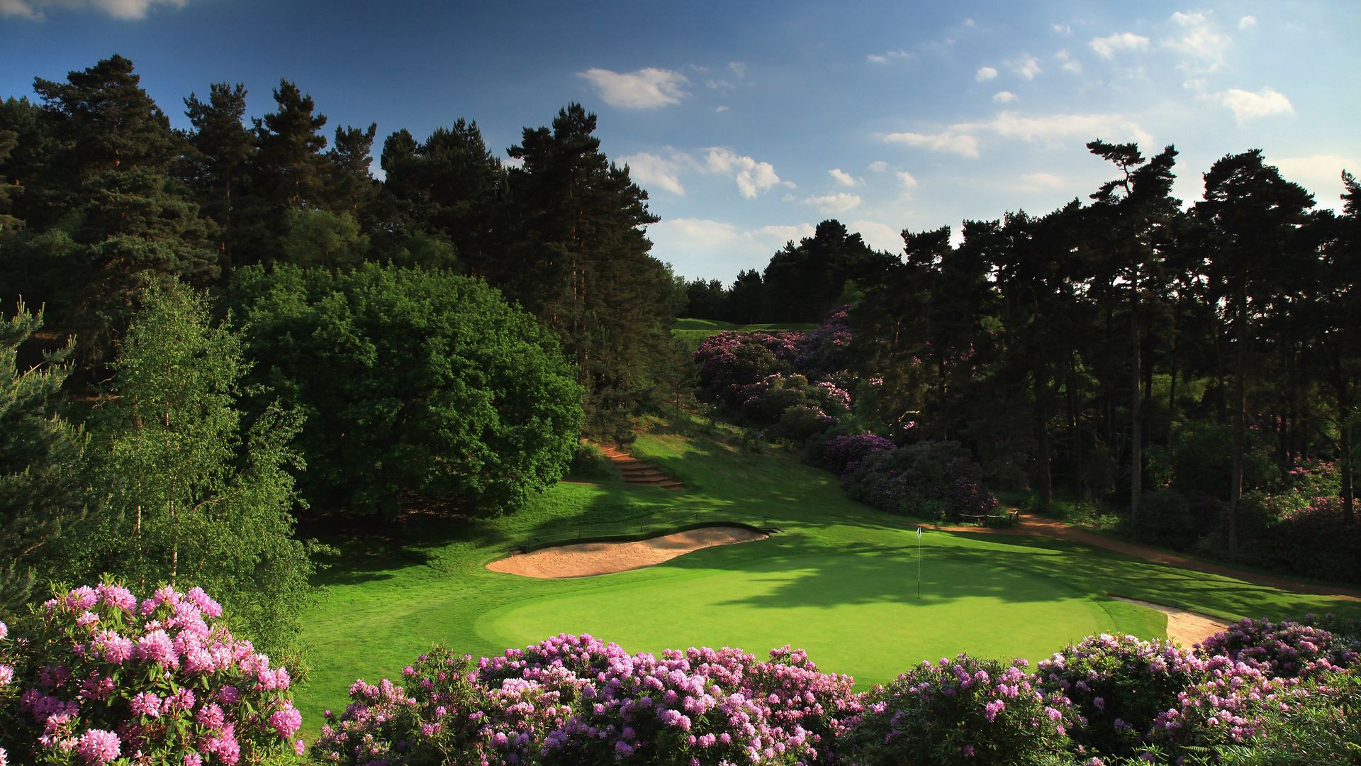Woburn Golf Club Duke's Course Review, Tee Times and Key Info | Golf ...