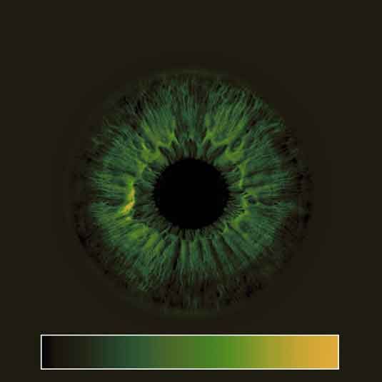 How to create textures for realistic 3D eyes | Creative Bloq