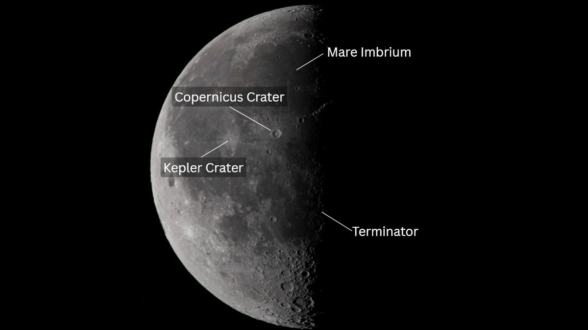 Don't miss the third quarter moon shine near Saturn in the eastern sky ...