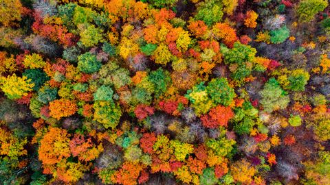 Autumn: The cooling-off season | Live Science