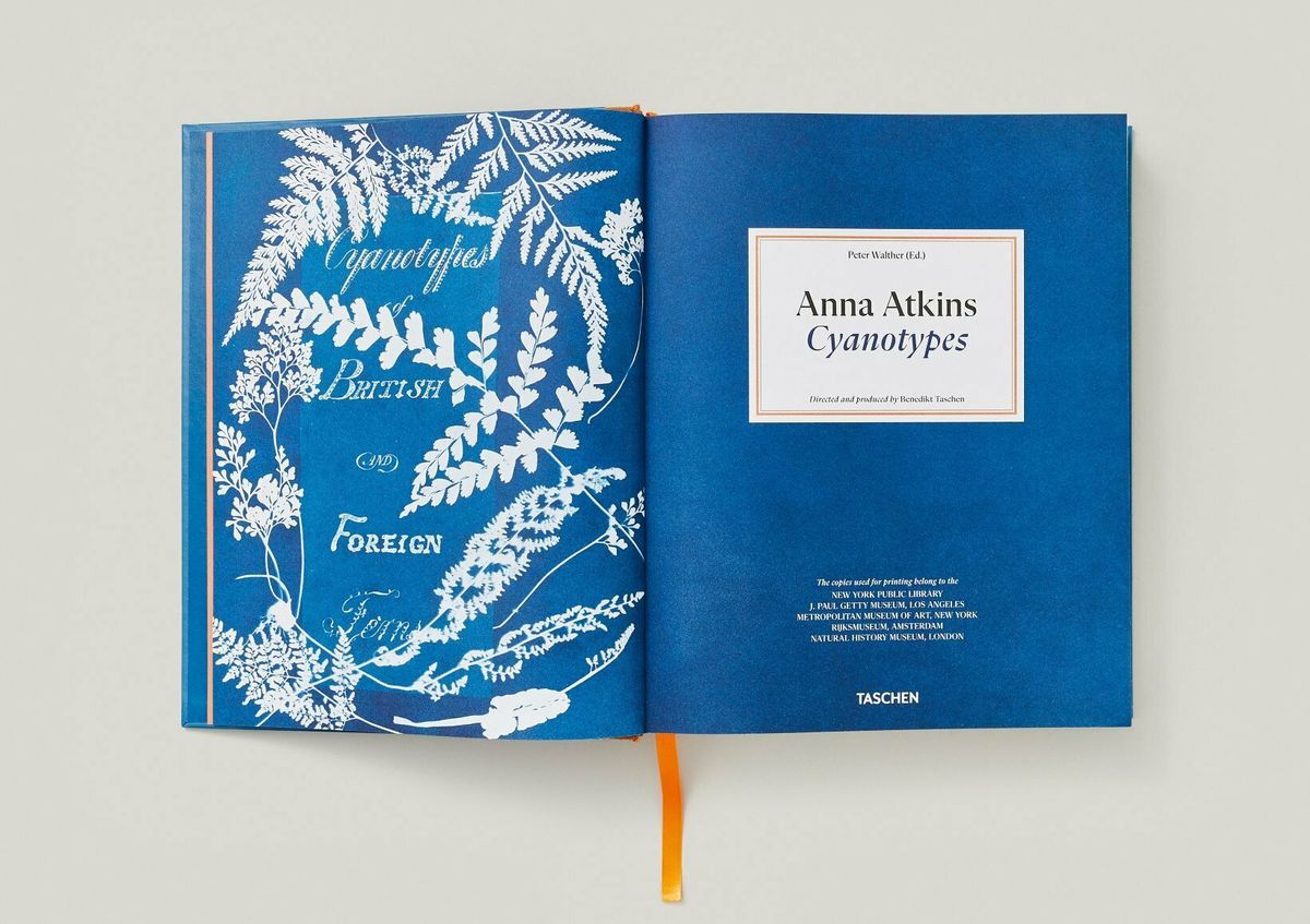 First female photographer Anna Atkins gets her beautiful cyanotypes ...