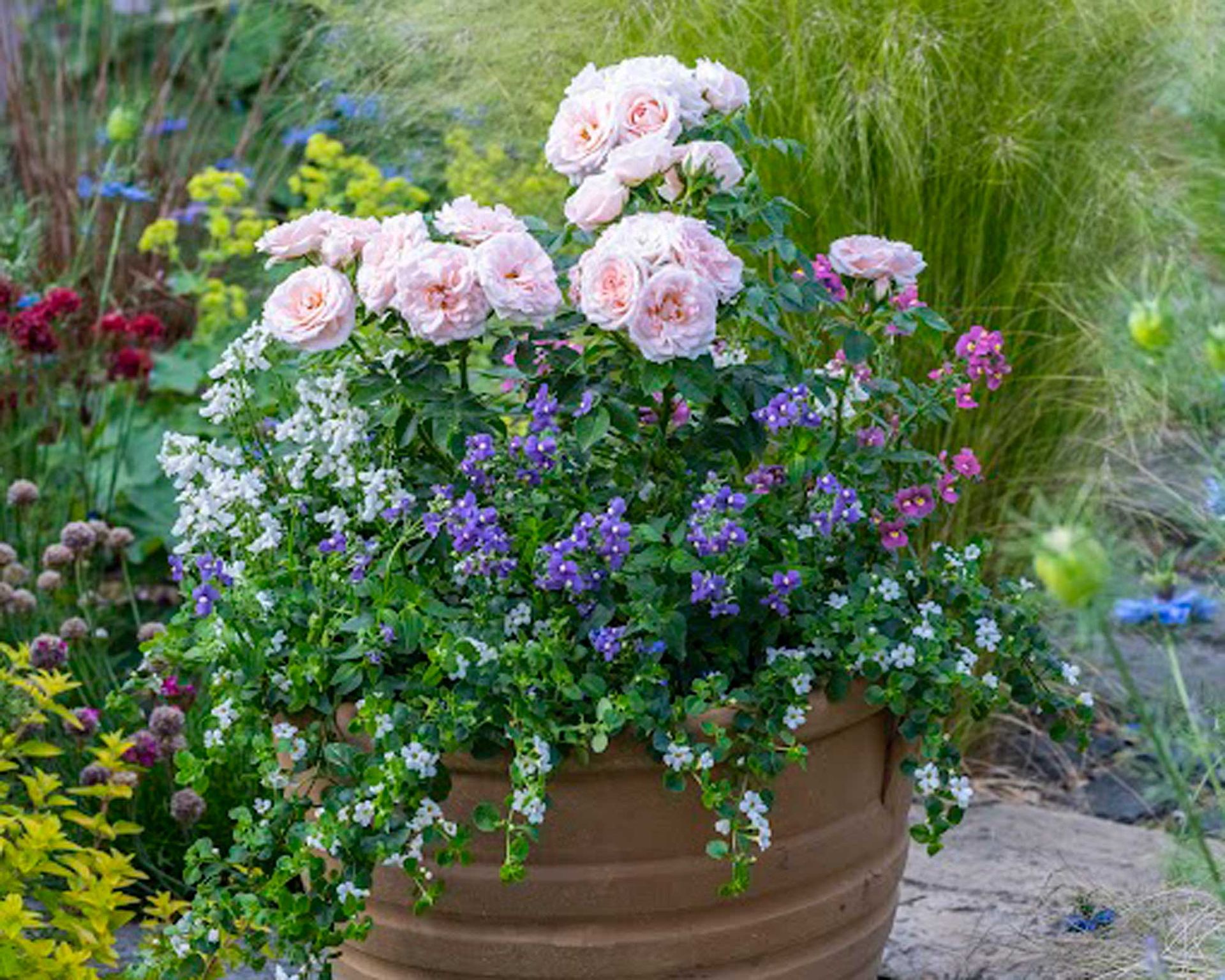 Container gardening: steps and ideas for making a container garden ...
