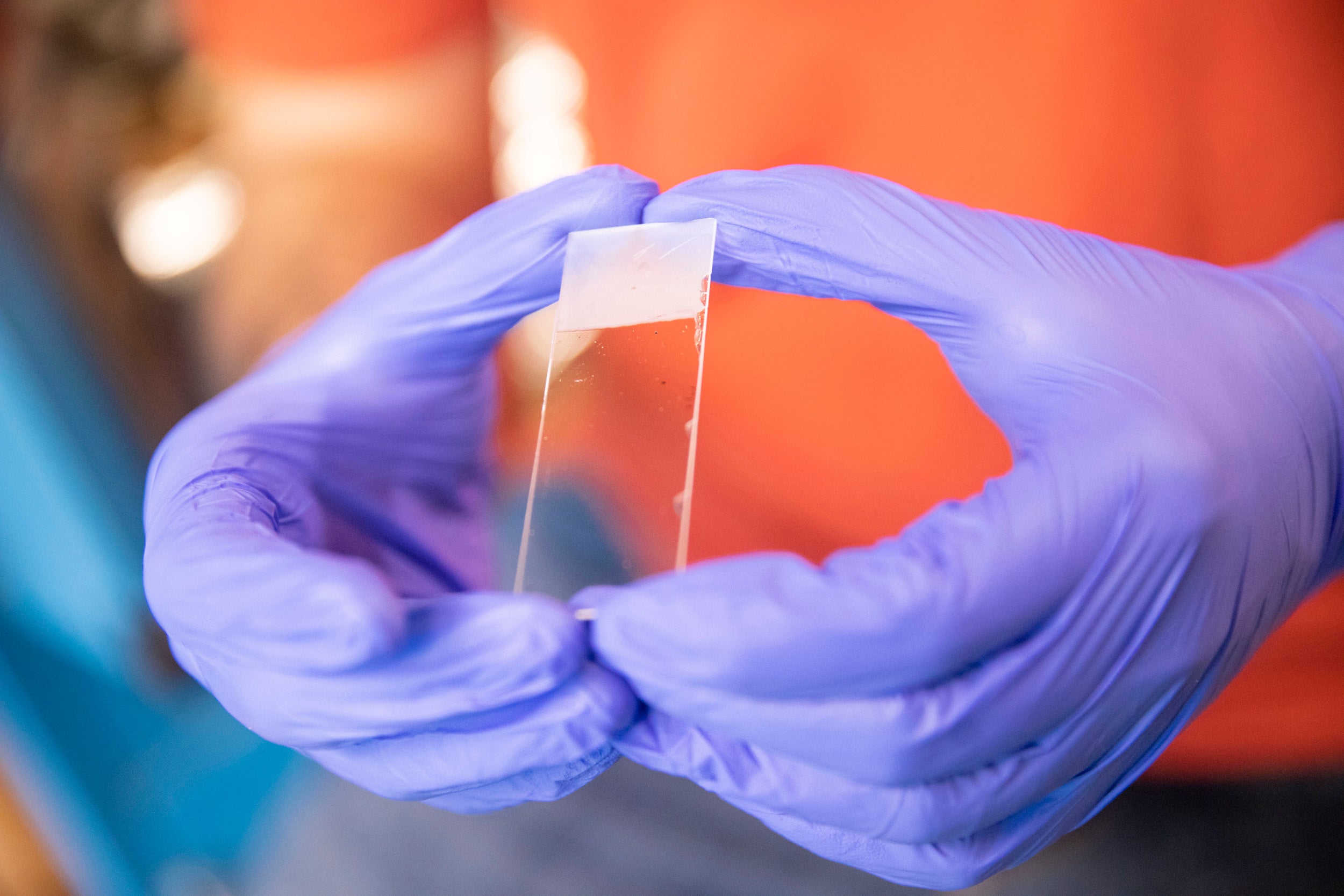 Harvard’s New Dye-Based Storage Could Preserve Data for Thousands of ...