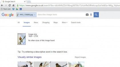 Advanced Google search tips and tricks | TechRadar