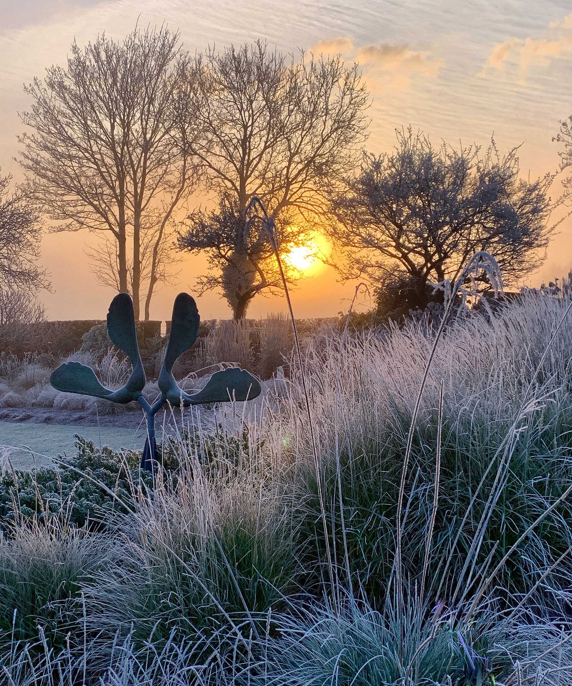 Winter landscaping ideas: 10 enchanting looks for the coldest months of ...