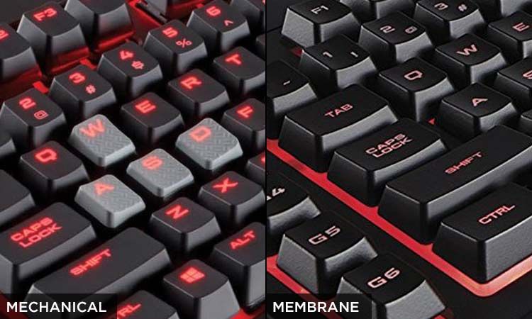 A guide to mechanical keyboard switches | Tom's Guide
