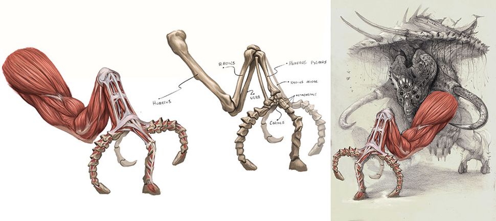 17 ways to draw better creatures | Creative Bloq