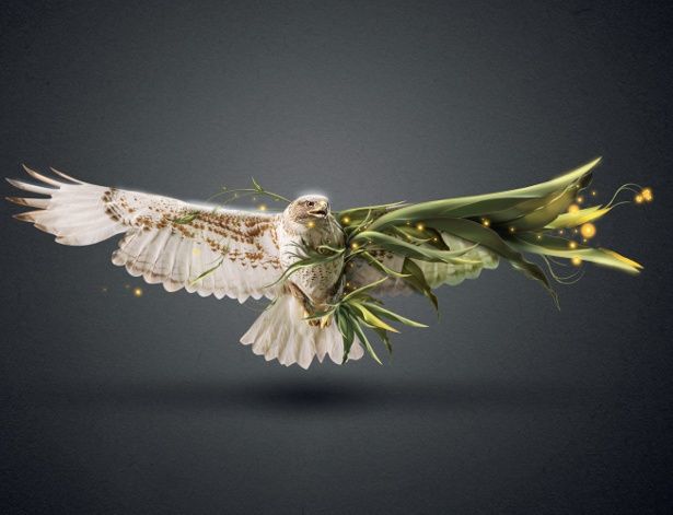 Dynamic Photo-Illustrations | Creative Bloq