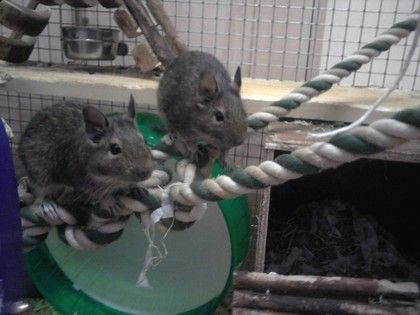 Samsung Monte: Camera - Samsung Monte review - Page 7 | TechRadar