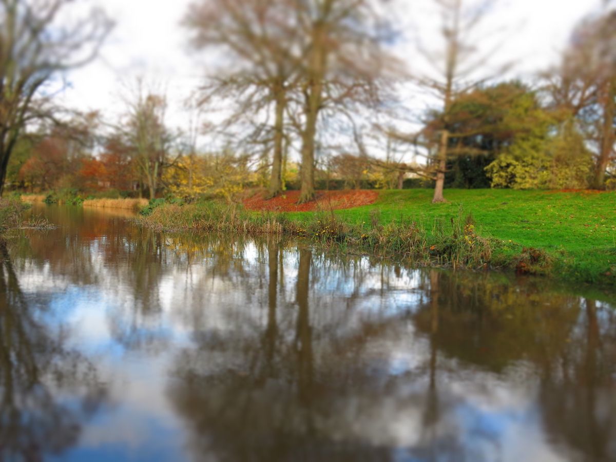 Sample images - Canon G15 review - Page 6 | TechRadar