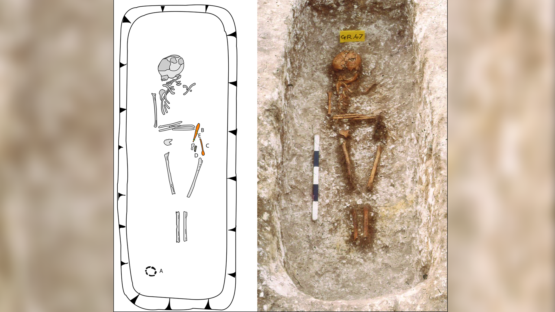 Ancient DNA reveals early medieval England had people with West African ...