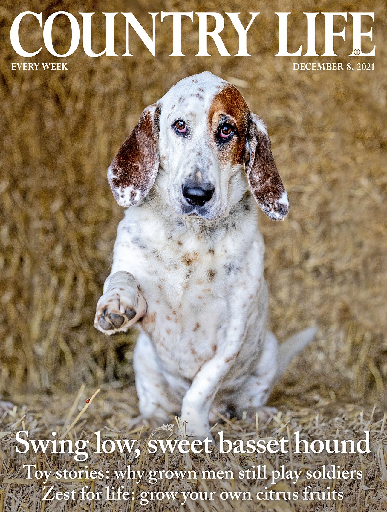 Country Life 8 December 2021 | Country Life