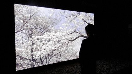 Hands on: Panasonic 145-inch 8K Super Hi Vision television review ...