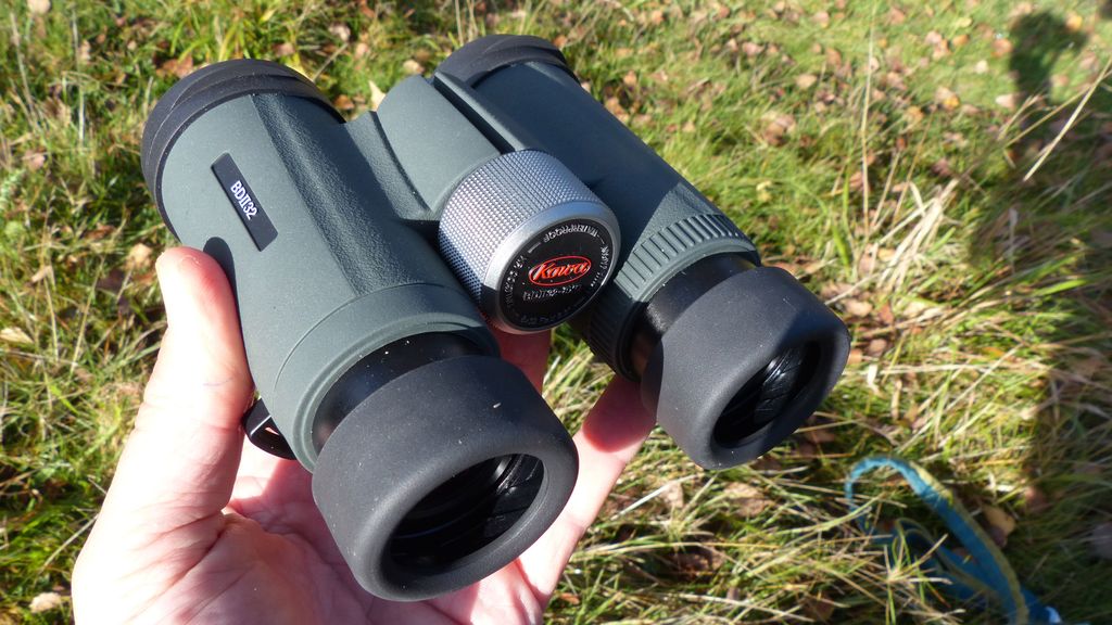 The best binoculars 2025: for birdwatching and astronomy | Advnture