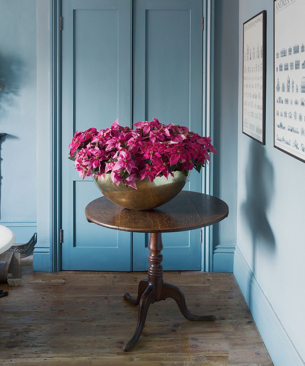 Easy ways to make your home desirable – Make your home pretty | Homes ...