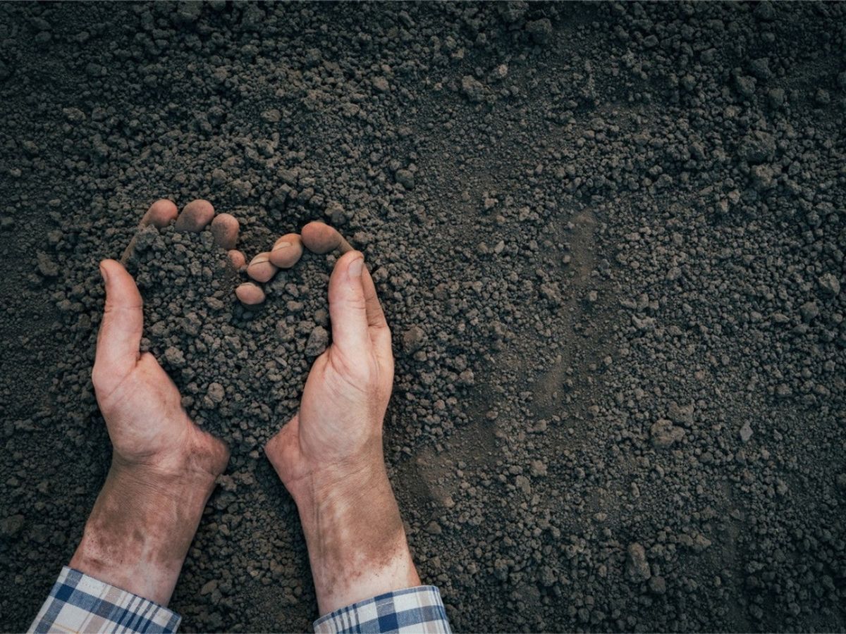 What Is Soil Conditioning | Gardening Know How