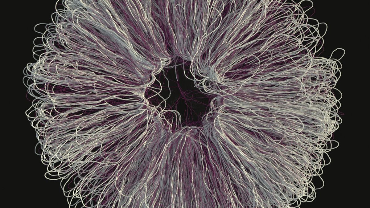 Houdini: everything you need to know | Creative Bloq