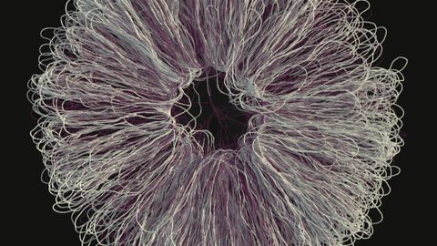 Houdini: everything you need to know | Creative Bloq