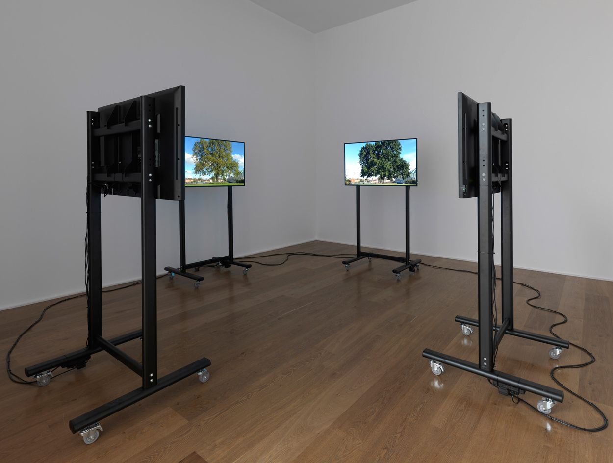 Mark Wallinger explores his 'ID' at Hauser & Wirth | Wallpaper*