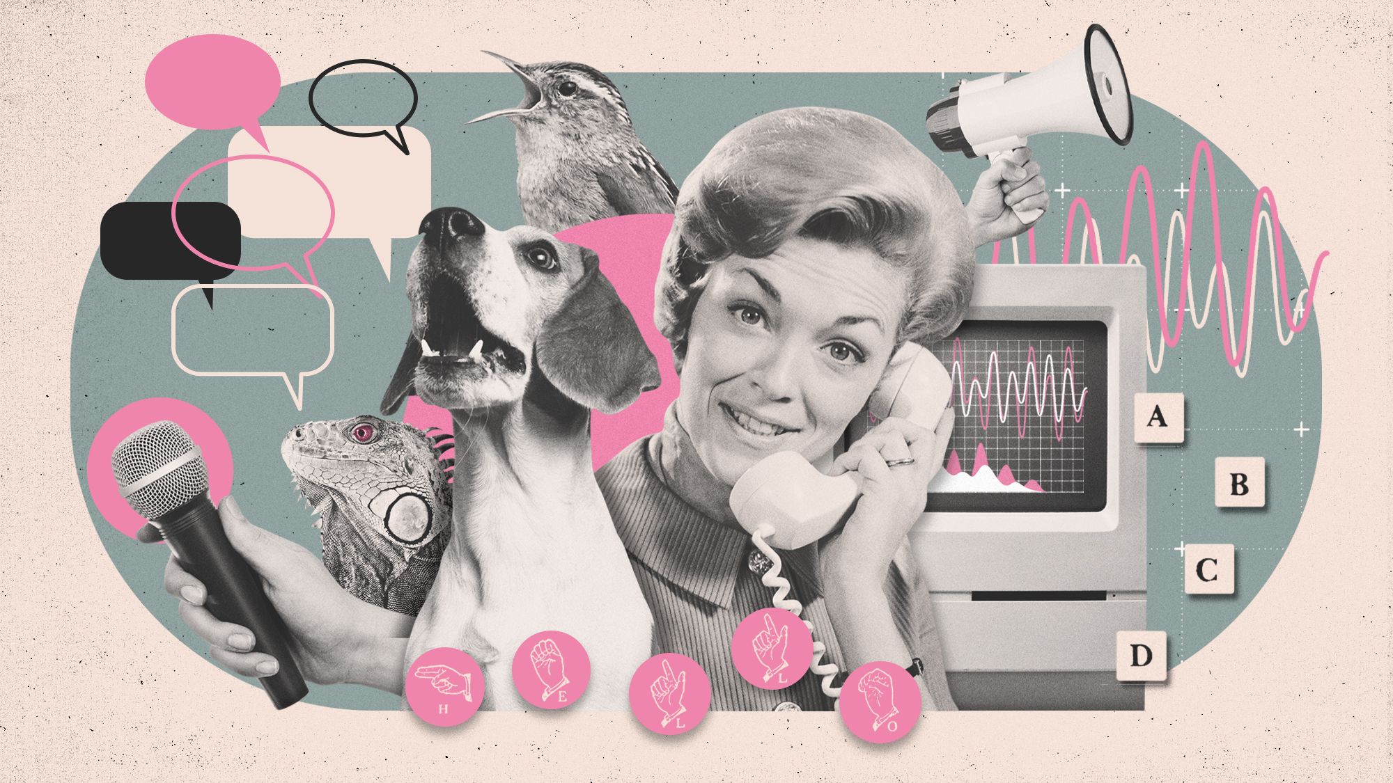 How AI could help us talk to animals | The Week UK