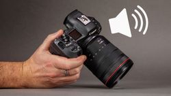 Nikon shutter type options explained - which do you choose when ...