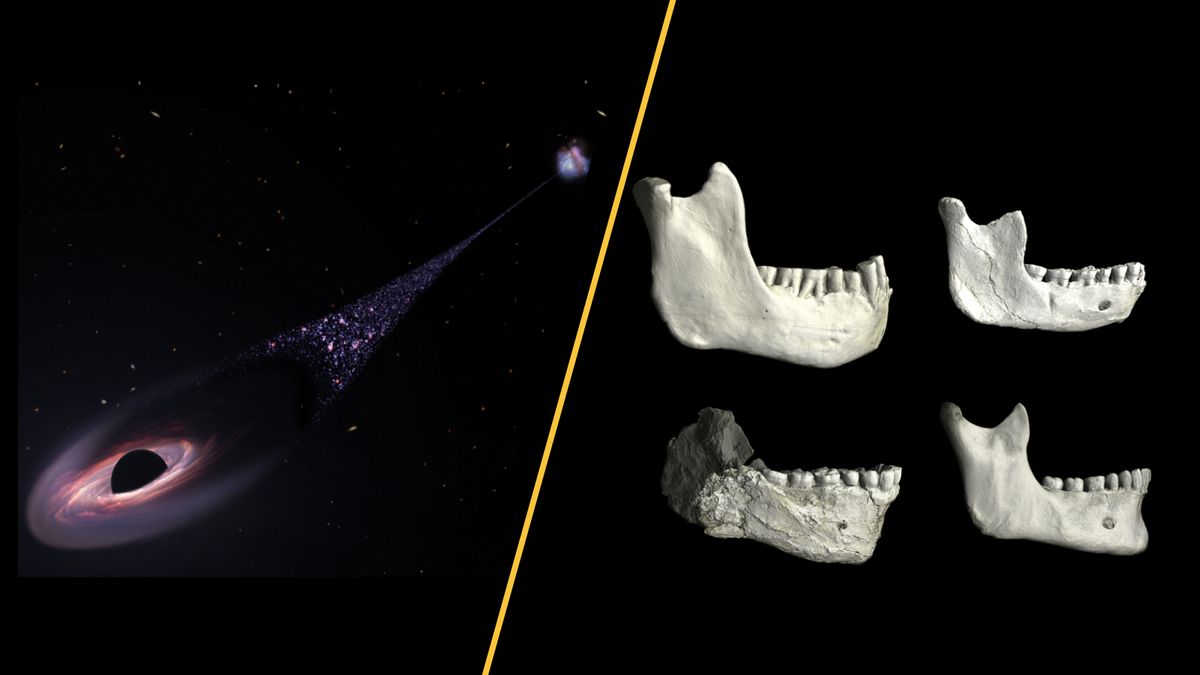 Science news this week: A runaway black hole, a human ancestor ...