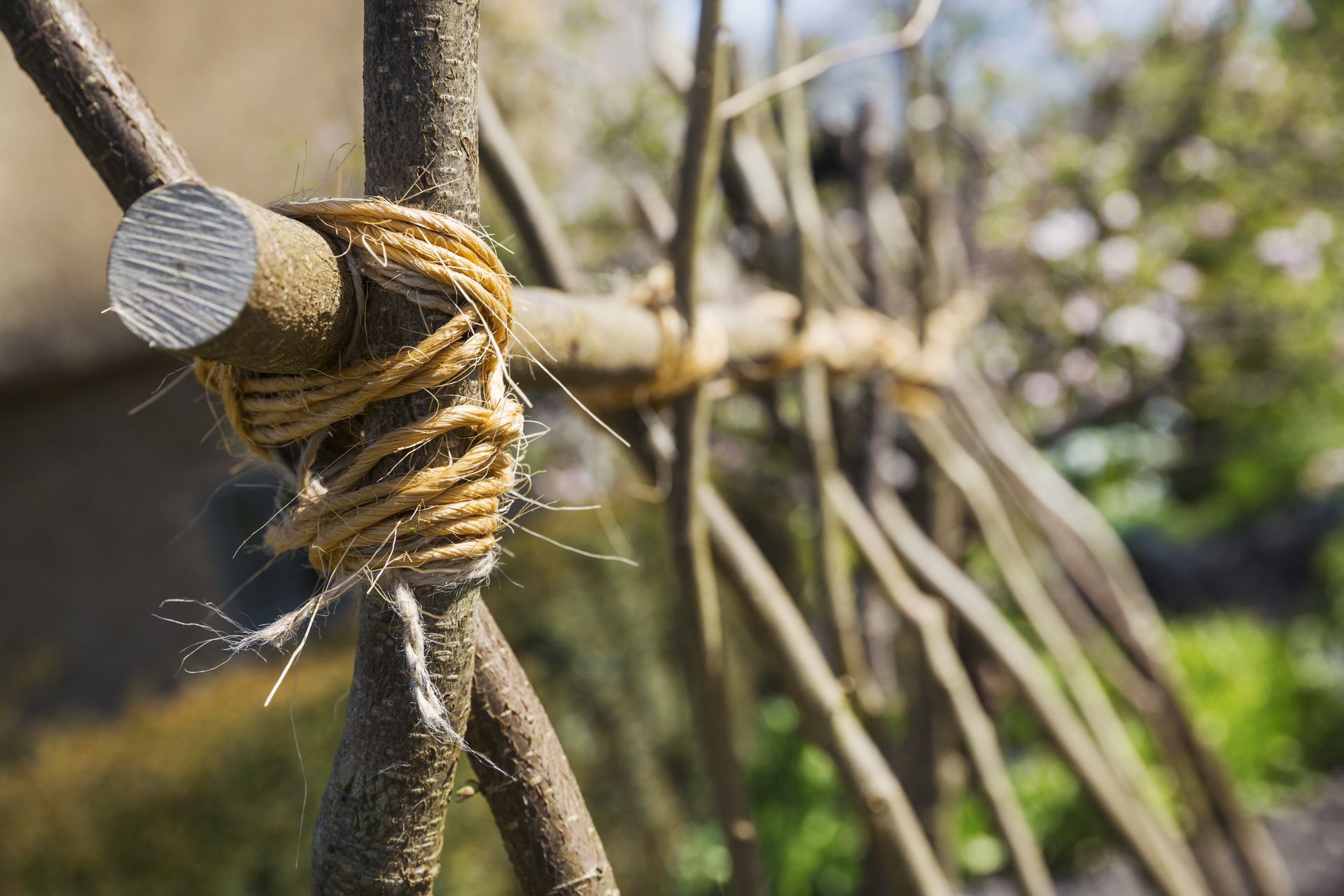 Vegetable garden trellis ideas: 18 ways to max your harvest | Homes and ...