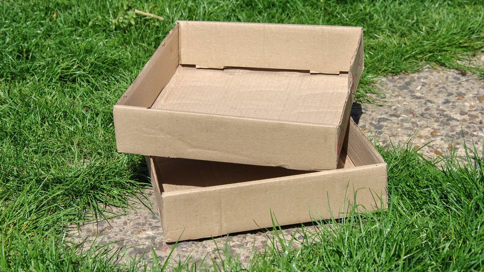 7 sustainable ways to use cardboard in your yard | Tom's Guide