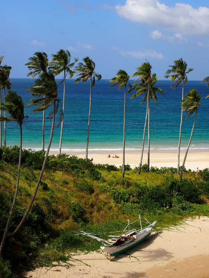 Palawan Photos: The Philippines Biodiversity Frontier | Live Science
