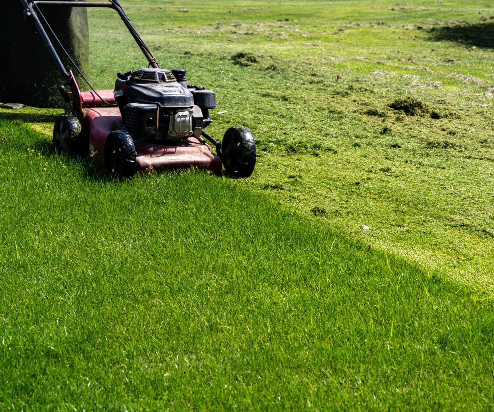 What is a mulching plug? The mowing essential you need | Homes and Gardens