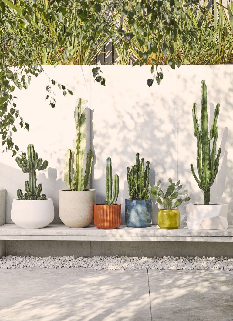 Cactus garden ideas: 12 ways to welcome these prickly plants into your ...
