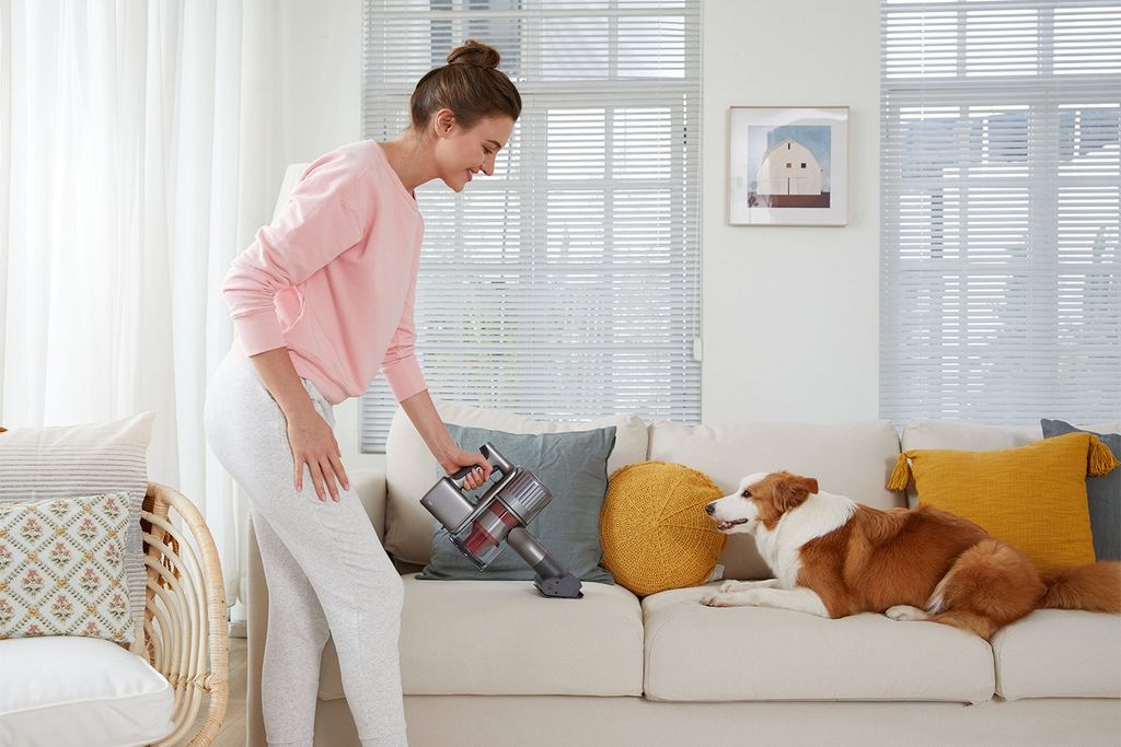 How to get rid of fleas inside the house: 5 ways to stop them | Homes ...