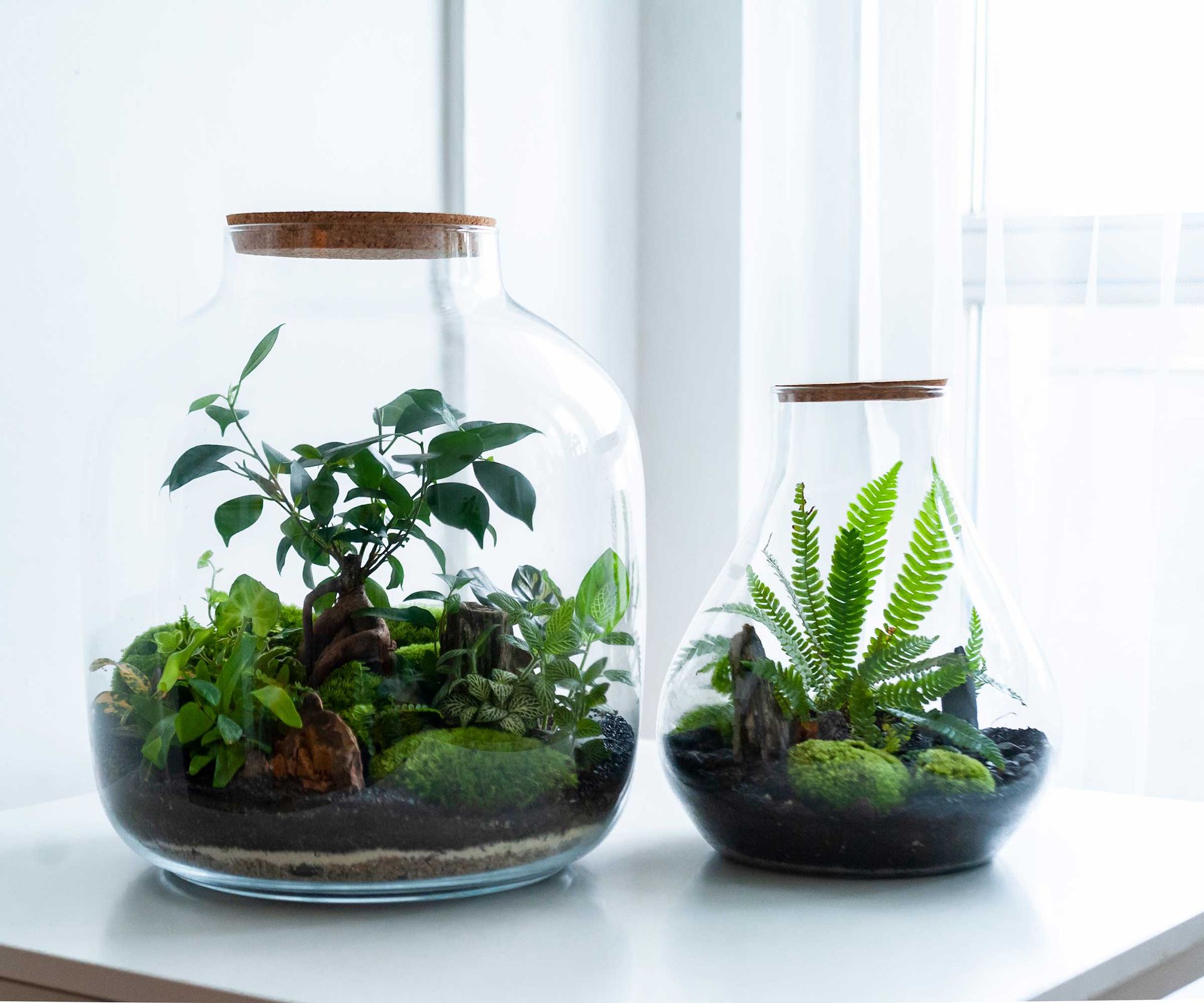 Terrarium care: tips on how to look after your display | Homes and Gardens