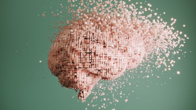 Memory Definition & Types of Memory | Live Science