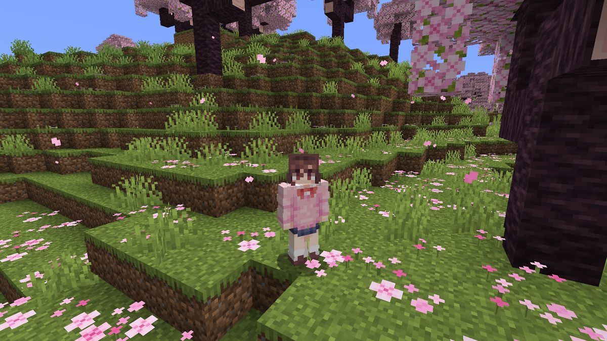 The 33 best Minecraft skins for cool and funny characters | PC Gamer
