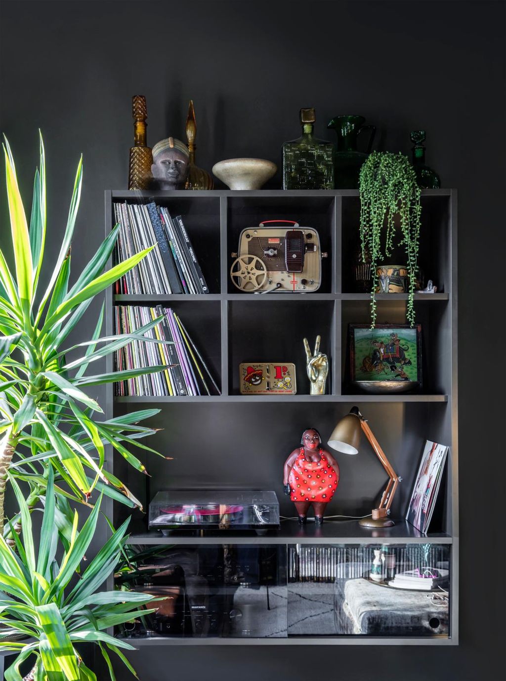 7 Houseplants for Bookshelves That Plant Experts Love | Livingetc