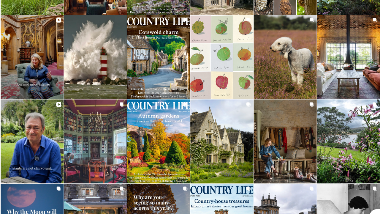 Country Life's top 10 Instagram posts of 2025, from a historic yew ...