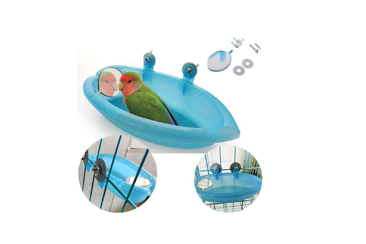 Best toys for parrots: Keep your feathered friend flapping | PetsRadar
